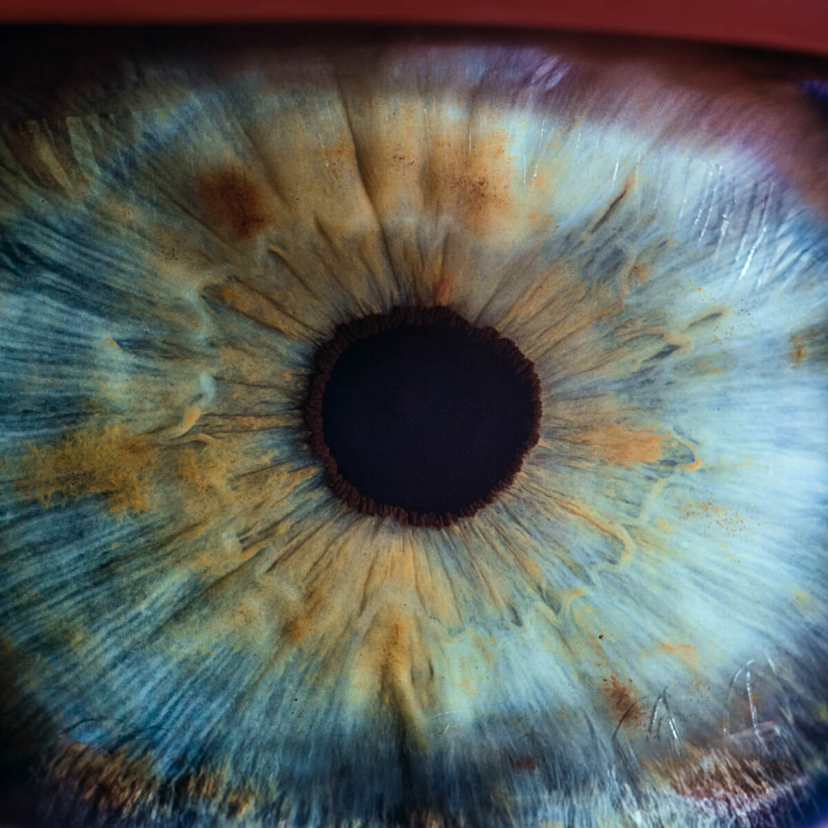 About Us - Fors Marsh